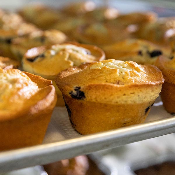 Parish Bake Sale: Christ Our Light - Troy - Capuchin Soup Kitchen